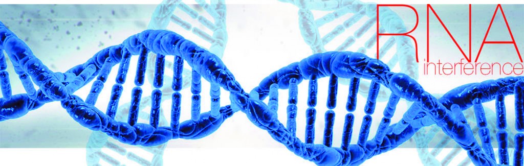 What is WPRE? – SignaGen Blog